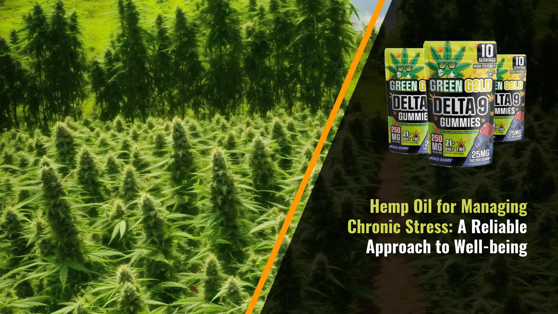 Hemp Oil for Managing Chronic Stress: A Reliable Approach to Well-being | Hemp Hero